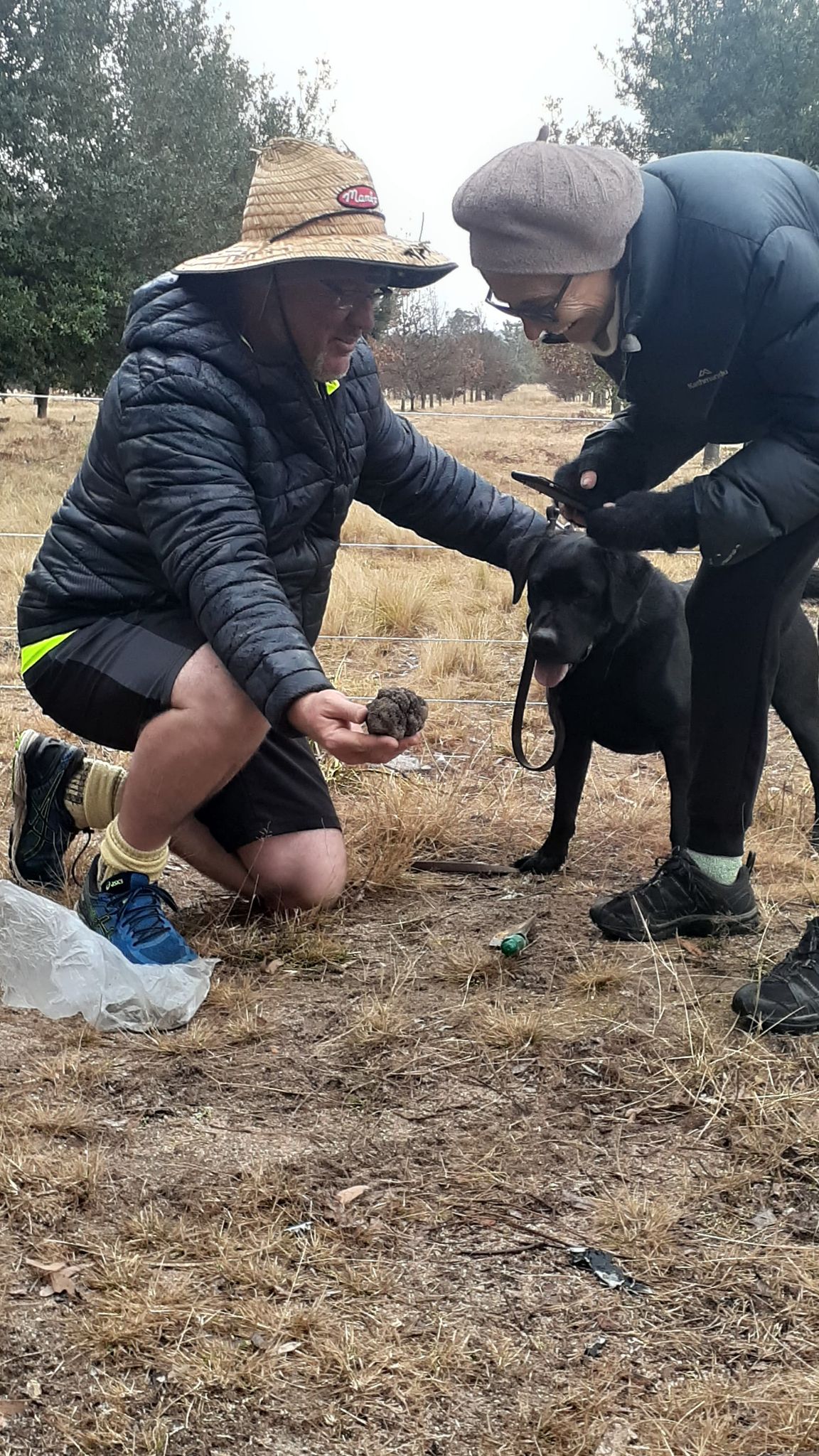 truffle search 15 – – Truffle Discovery Centre Stanthorpe